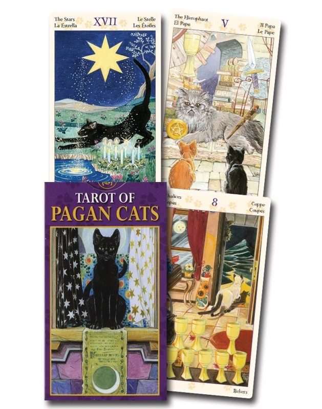 Tarot of Pagan Cats Mini Deck (Tarô de Bolso) - Loja e Editora Pavão Branco
